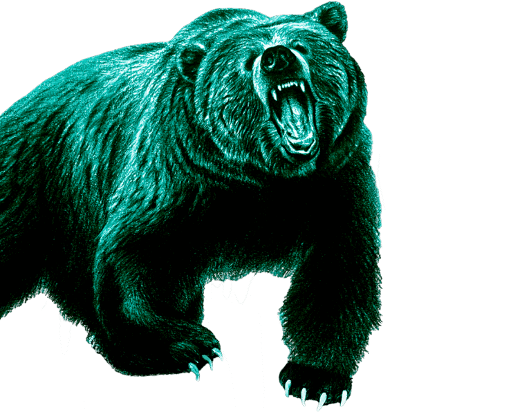 Alaska’s Gold Buckle Tours | Off-Road Knik Glacier Tours